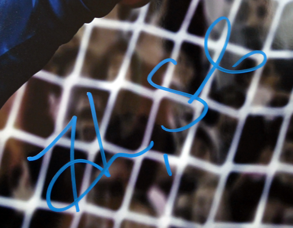 Hope Solo Autographed Signed 16X20 Photo Team Usa PSA/DNA