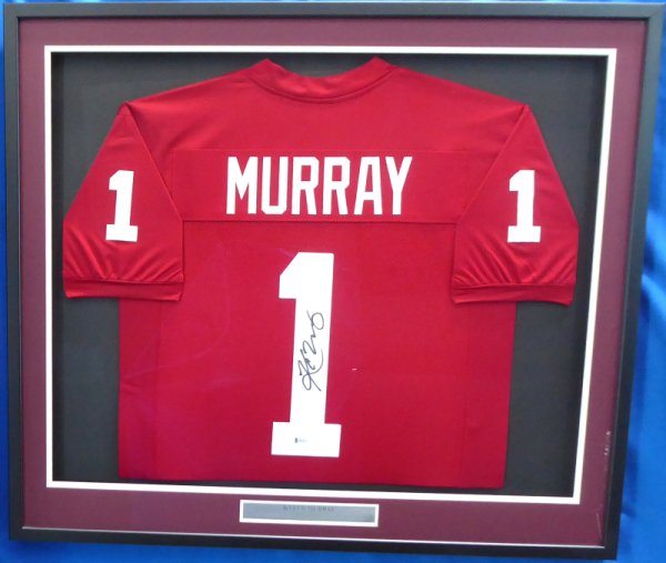 NFL Memorabilia Autographed Jerseys | Signed Jerseys