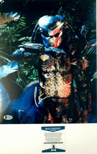 Peter Cullen | Player