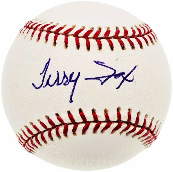 Autographed Baseballs Detroit Tigers | Signed Memorabilia