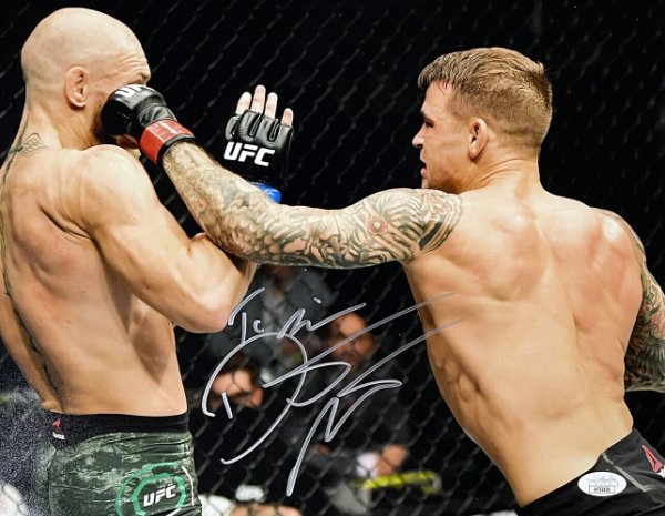 Tyler Senerchia | Player