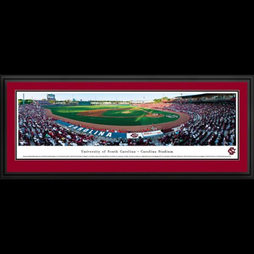 University Of South Carolina Gamecocks (Baseball) Deluxe Framed Stadium ...